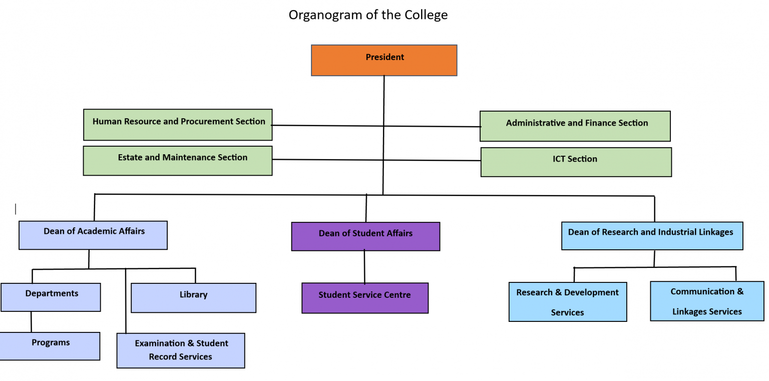 Organogram – College of Language and Culture Studies